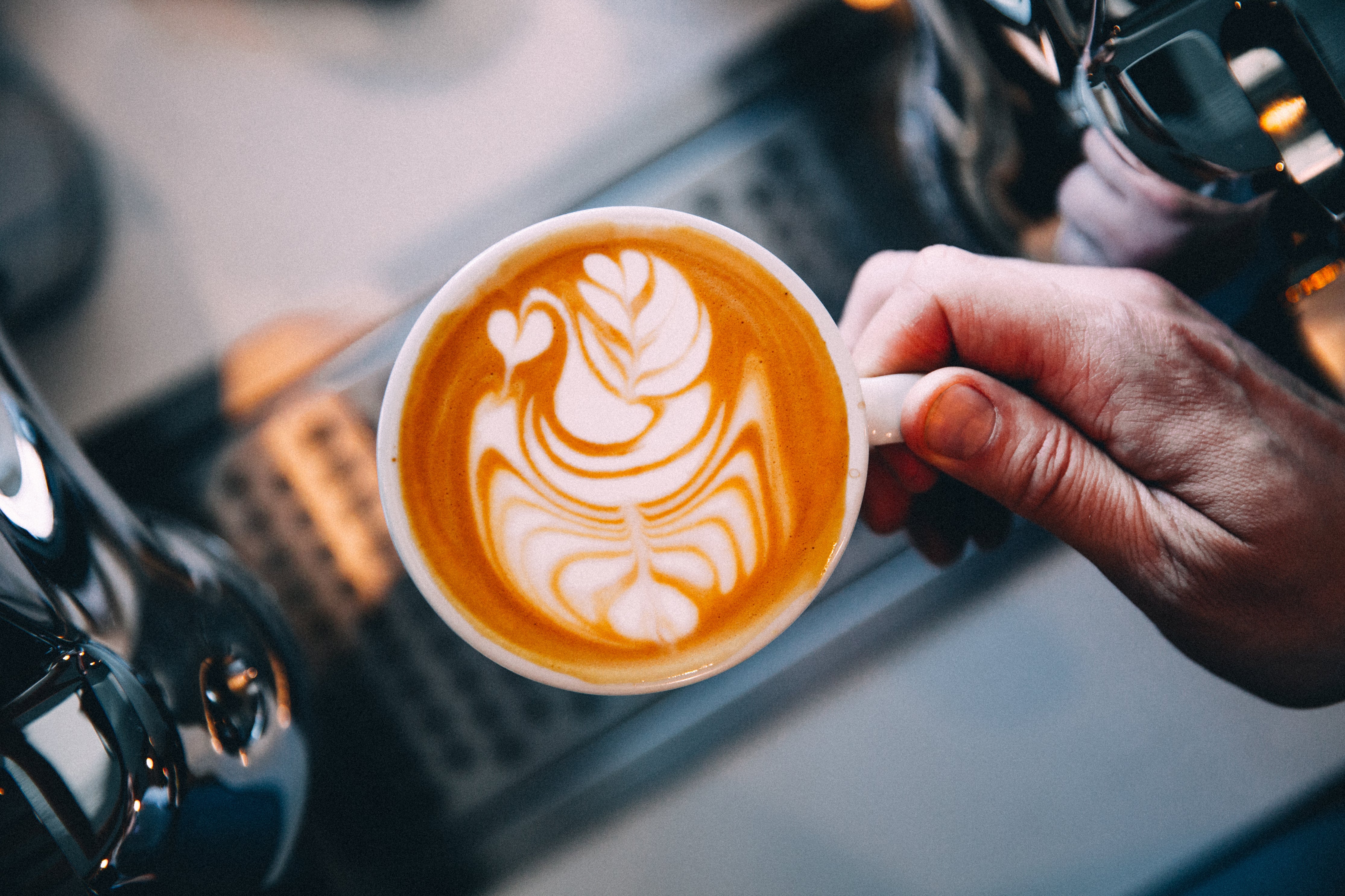 Premium Coffee Collection – Beans, Grounds, Capsules & More – Chefs For ...